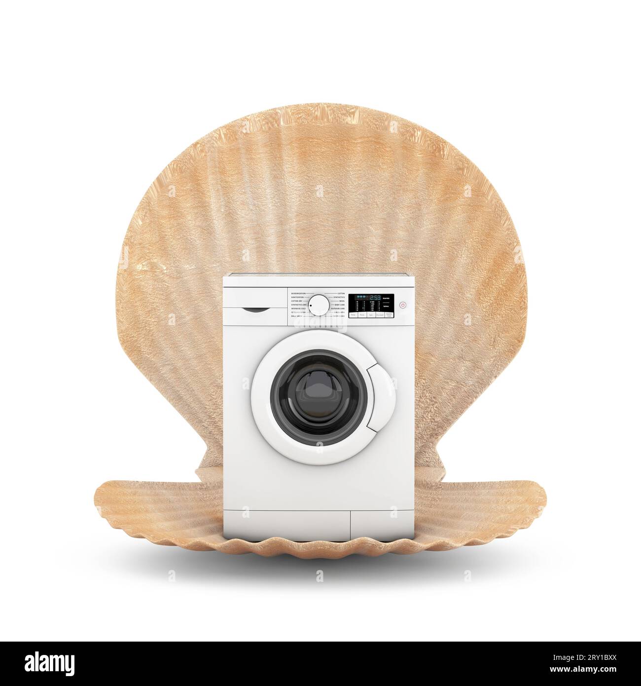Scallop shell beach open hi-res stock photography and images - Alamy