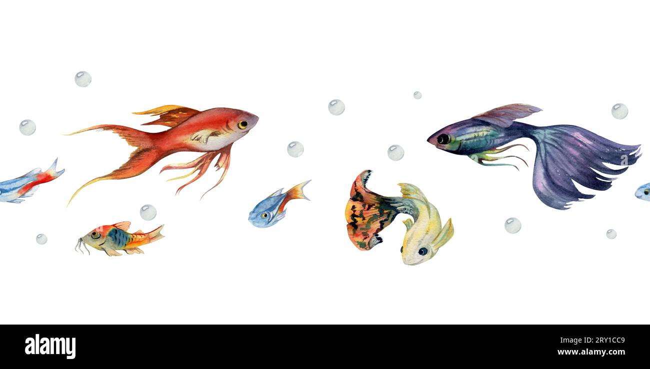 Hand drawn watercolor aquarium tropical fish sealife. Marine exotic ...