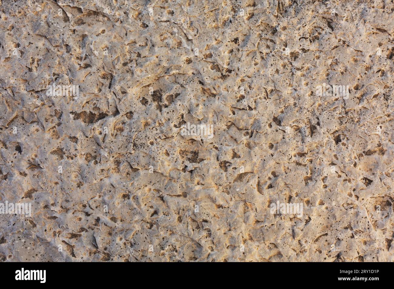 Split face block hi-res stock photography and images - Alamy