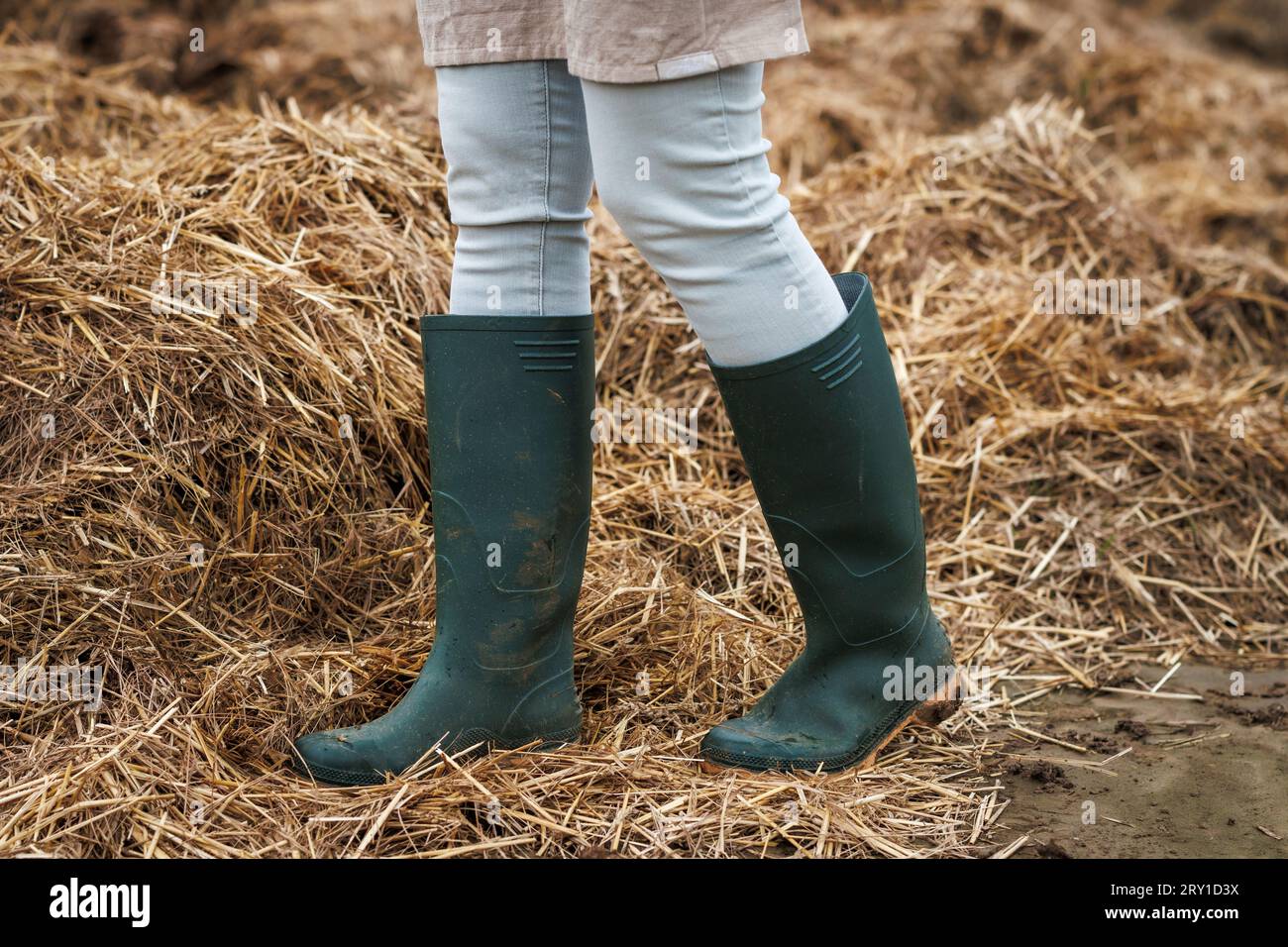 Rubber boot protective workwear. Farmer standing at organic manure ...