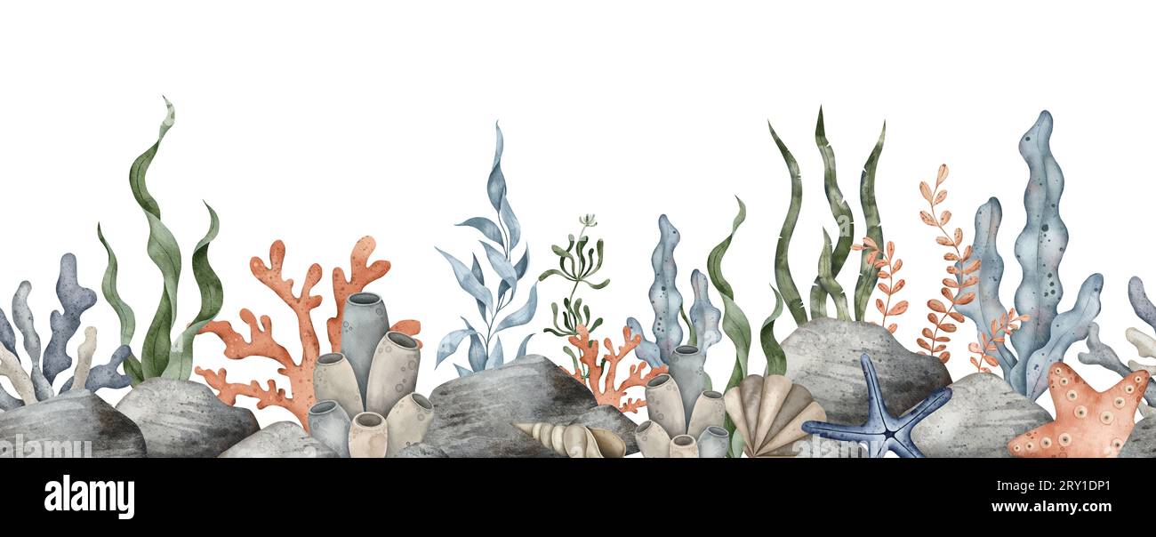 Seamless border of sea Pebbles, marine coral, starfish, seaweed algae ...