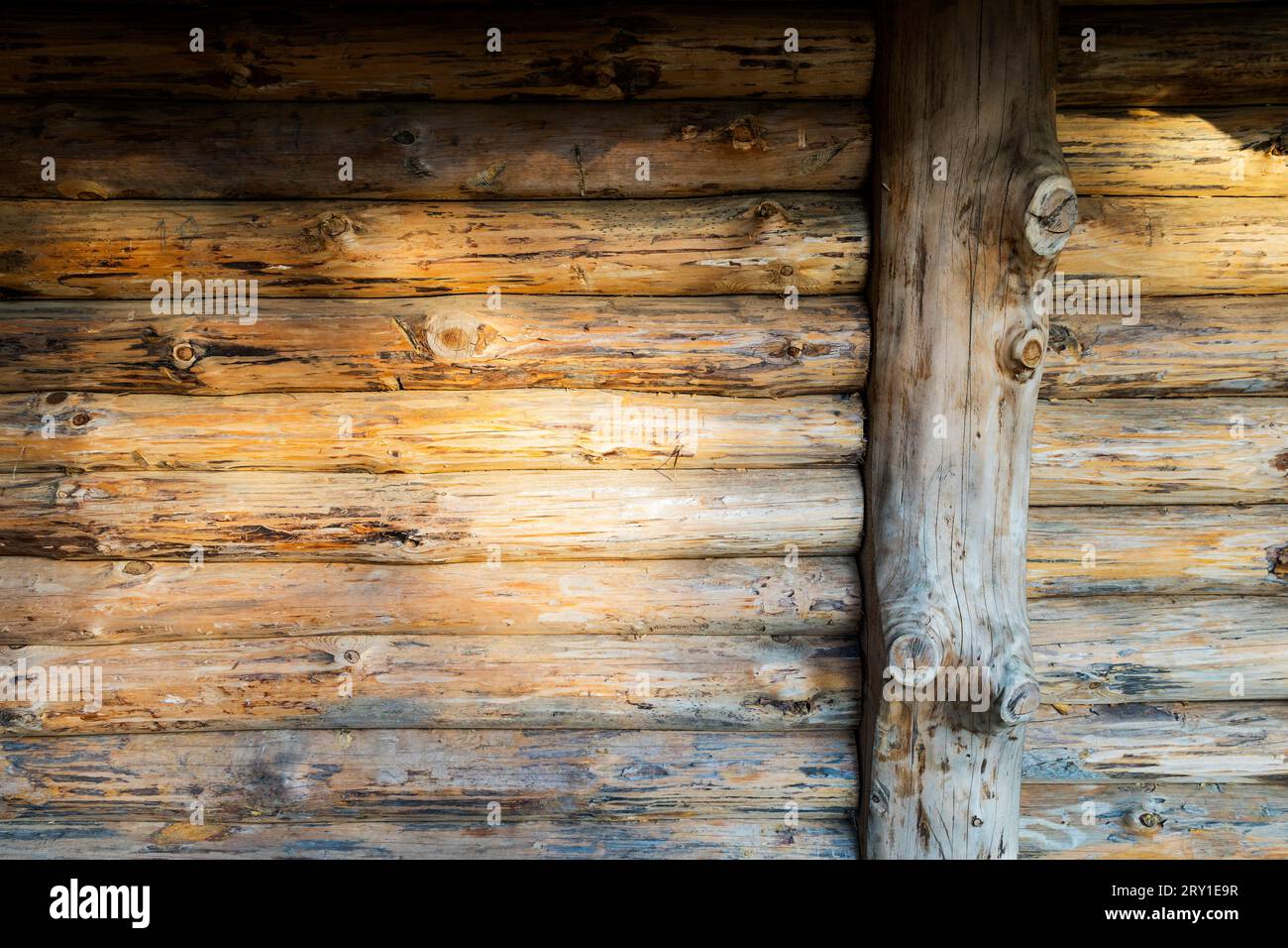 Log Cabin Wall Texture