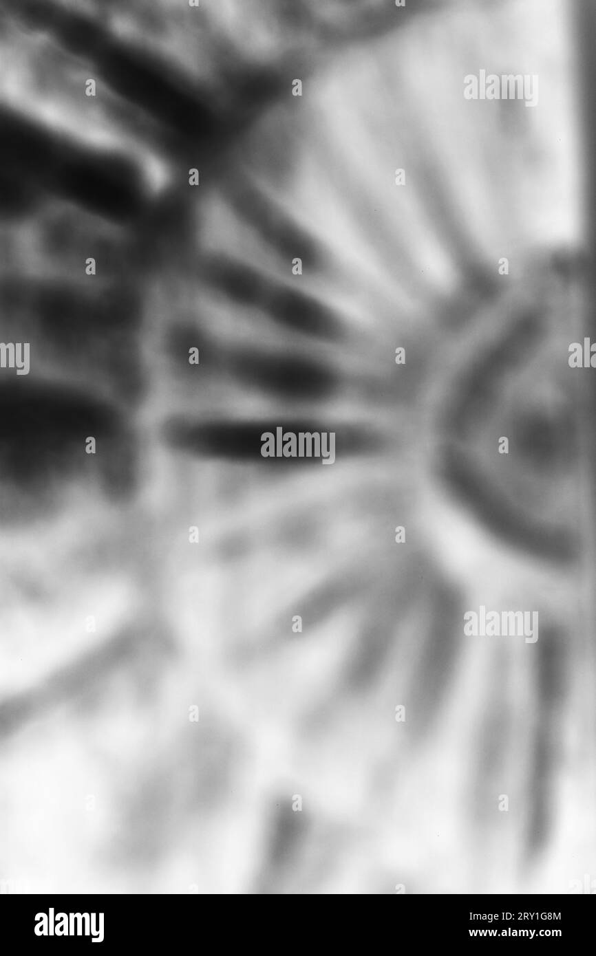 Suns pattern Black and White Stock Photos & Images - Alamy