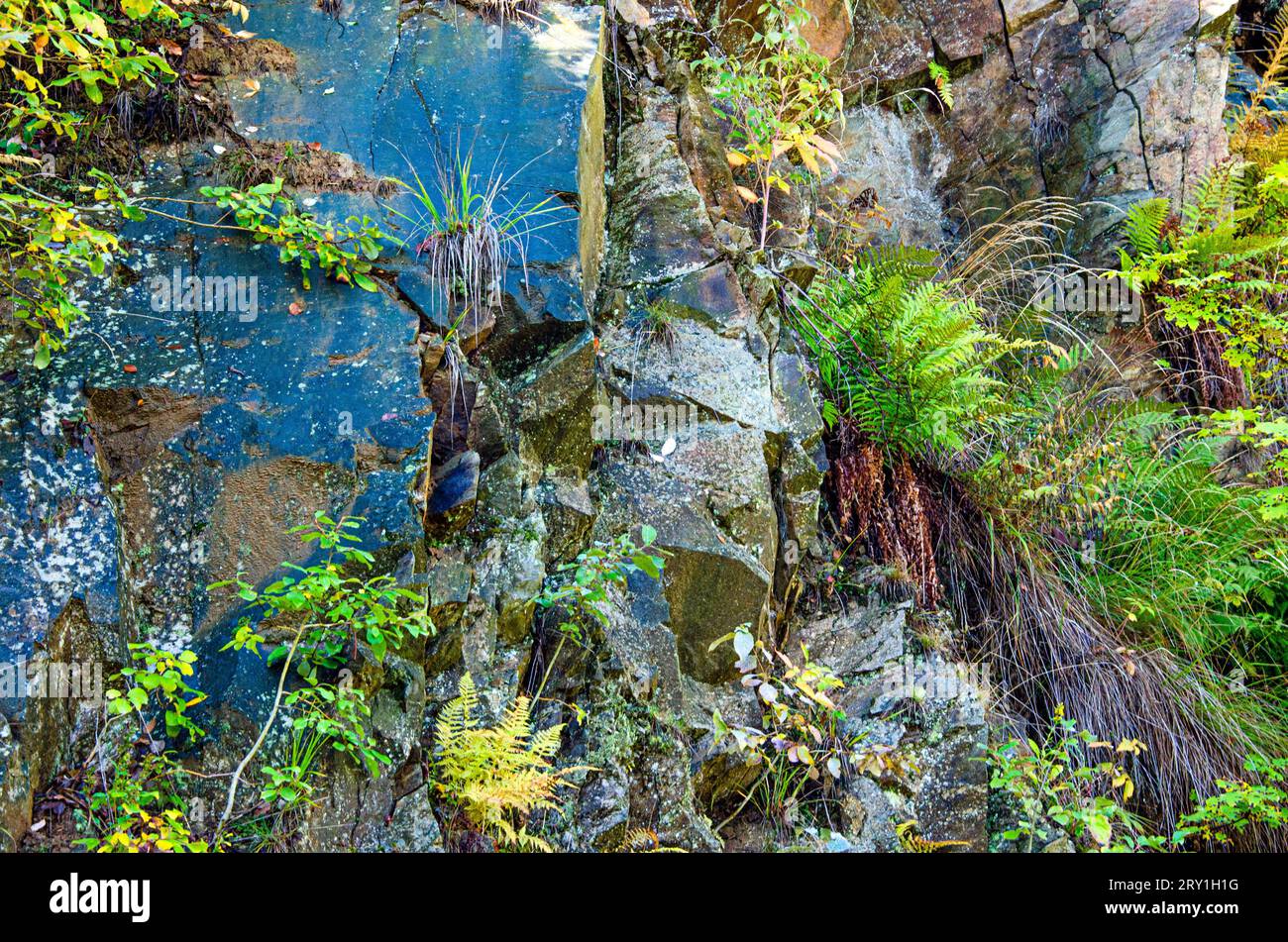 the rocky cliff face with a small waterfall and plants growing on it ...