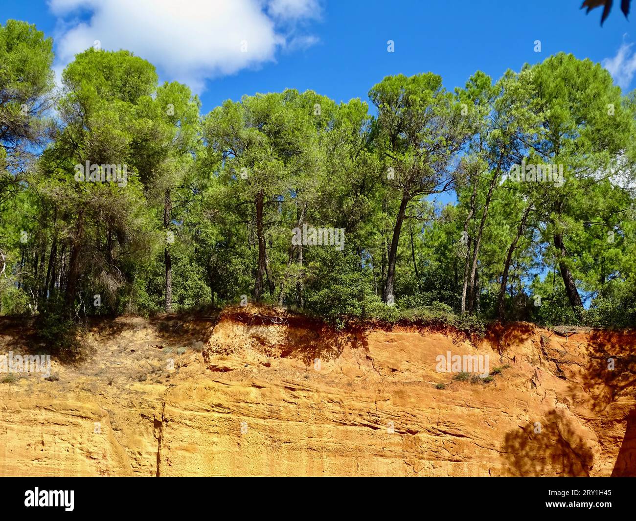 Stratified Beauty of Bruoux Mines: Balanced Trees, Ochre Layers, and ...
