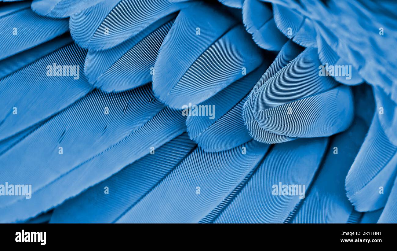 Blue light background hi-res stock photography and images - Alamy