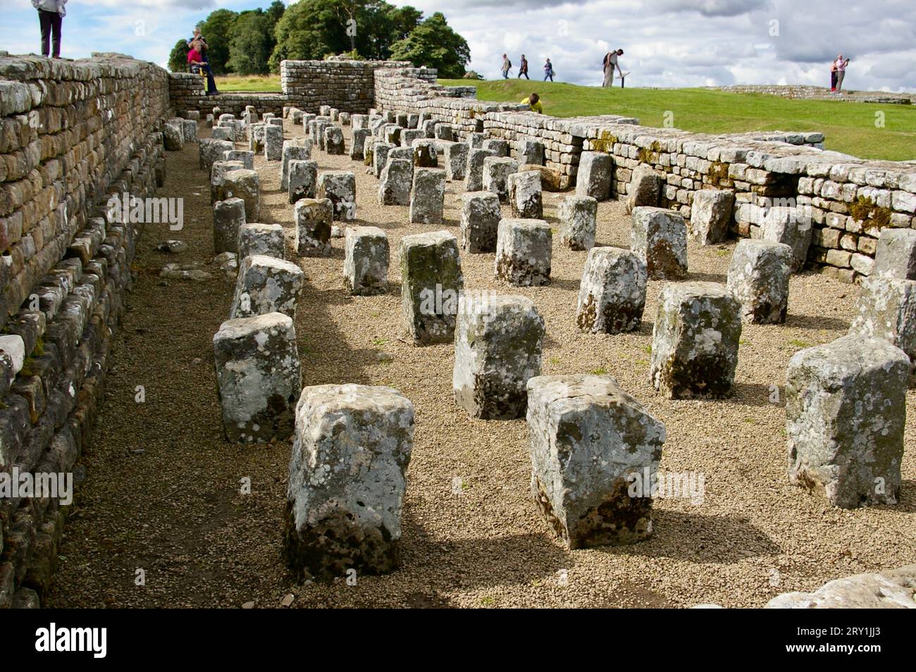 Remains of Roman structures at Housesteads Roman Fort (Vercovicium) on ...