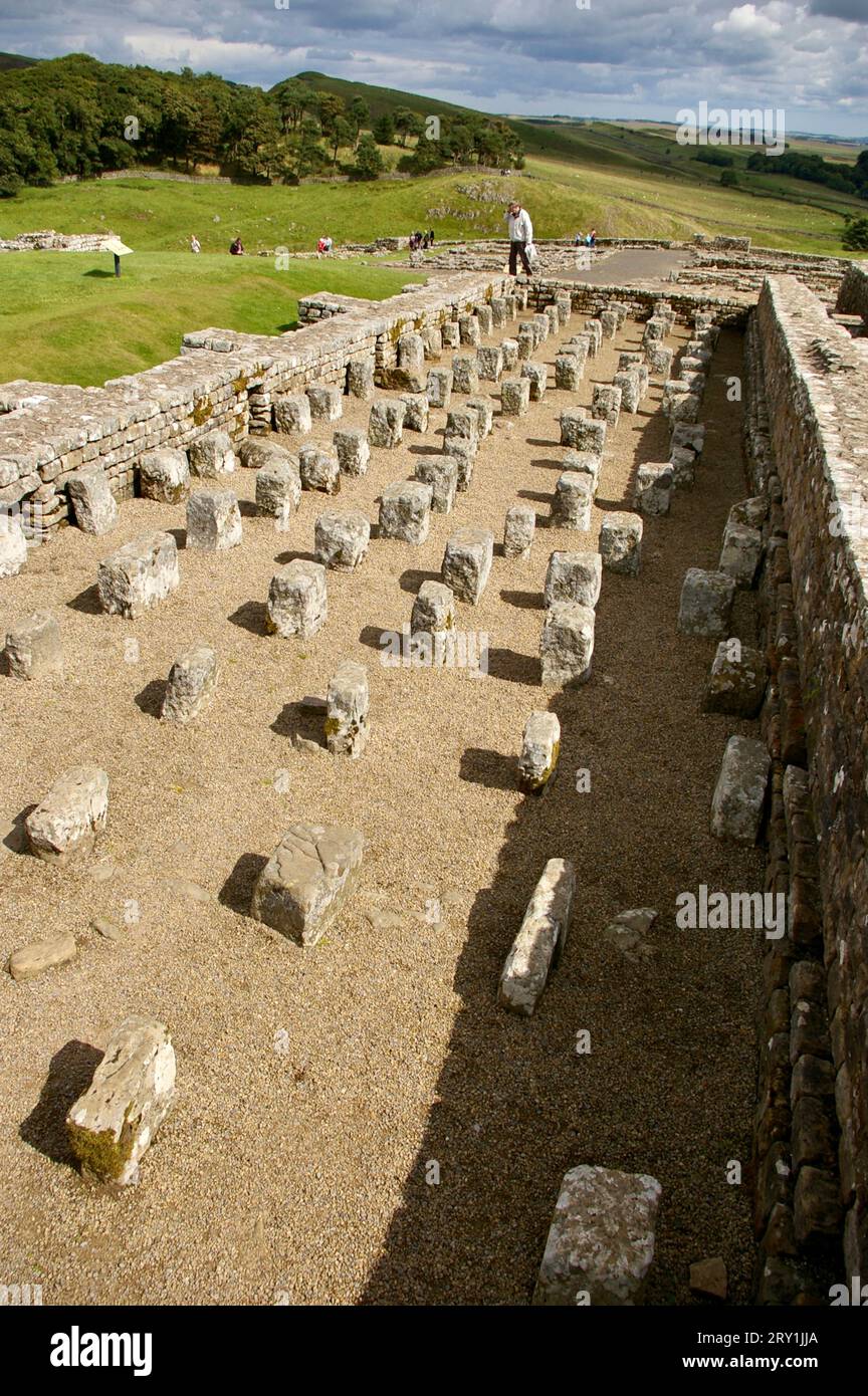 Remains of Roman structures at Housesteads Roman Fort (Vercovicium) on ...
