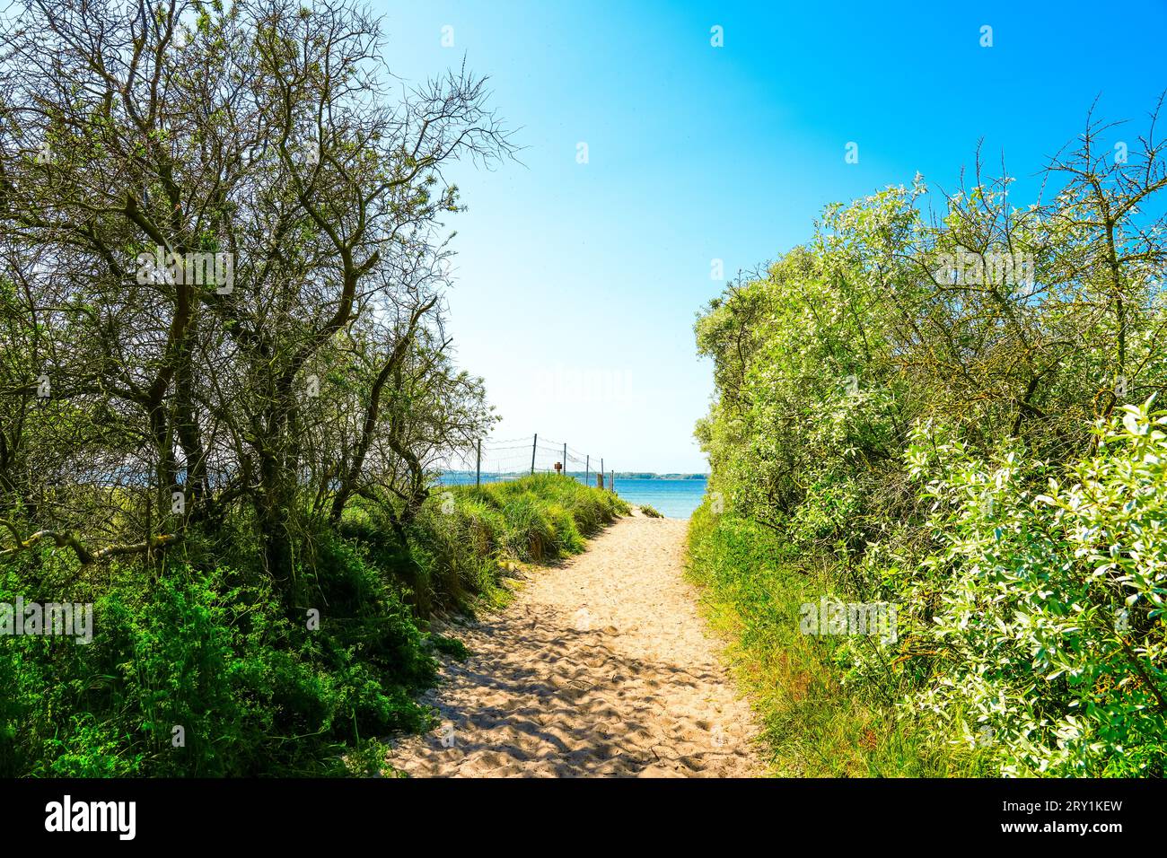 Path through nature with a view of the Fauler See on the island of Poel ...
