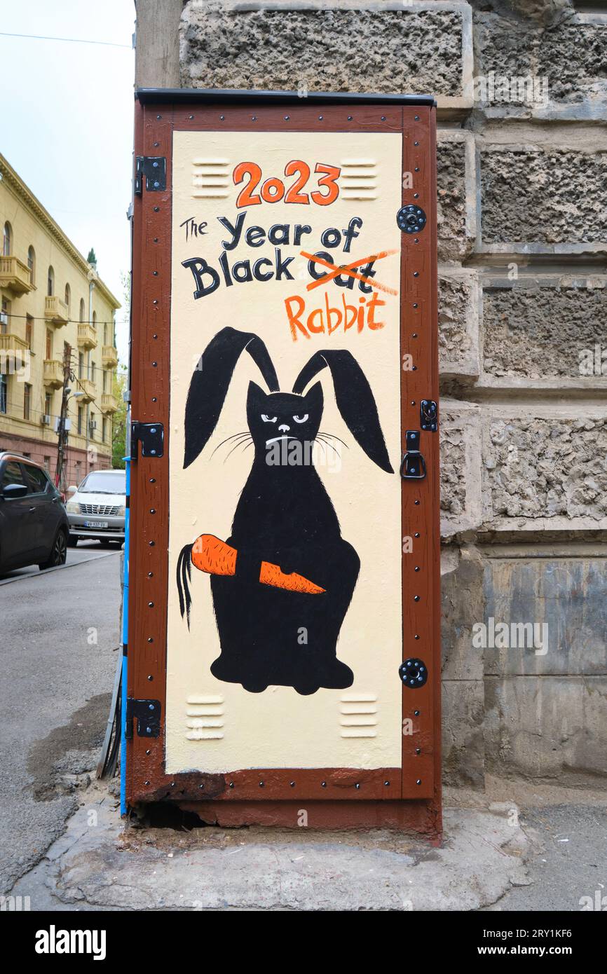 Angry rabbit hi-res stock photography and images - Alamy