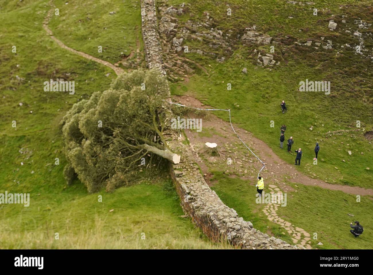 People look at the tree at Sycamore Gap, next to Hadrian's Wall, in ...
