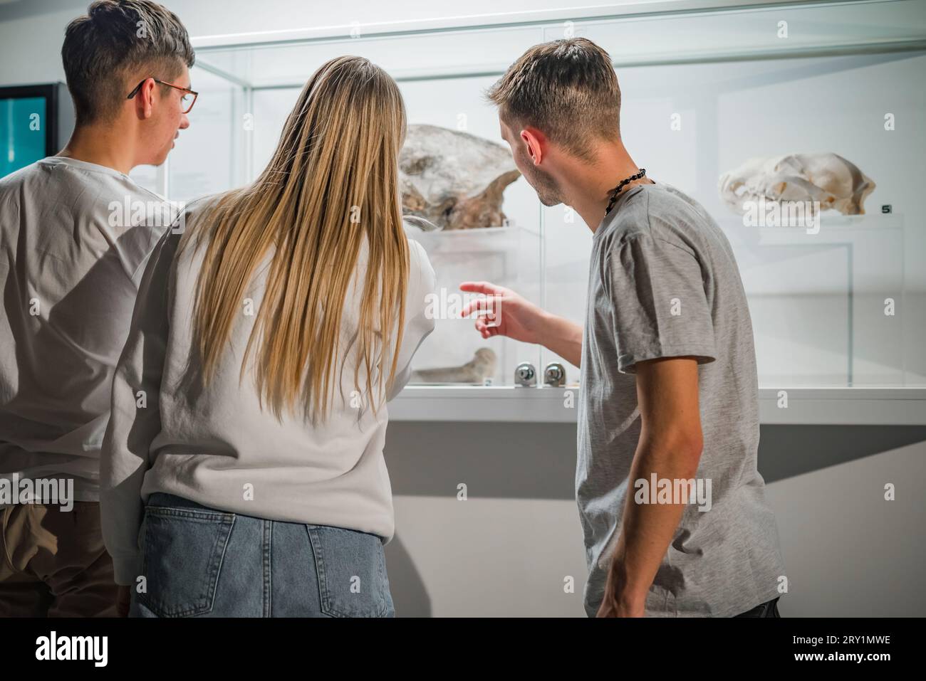 Boy having fun in the natural history museum, acting as a curator, and ...