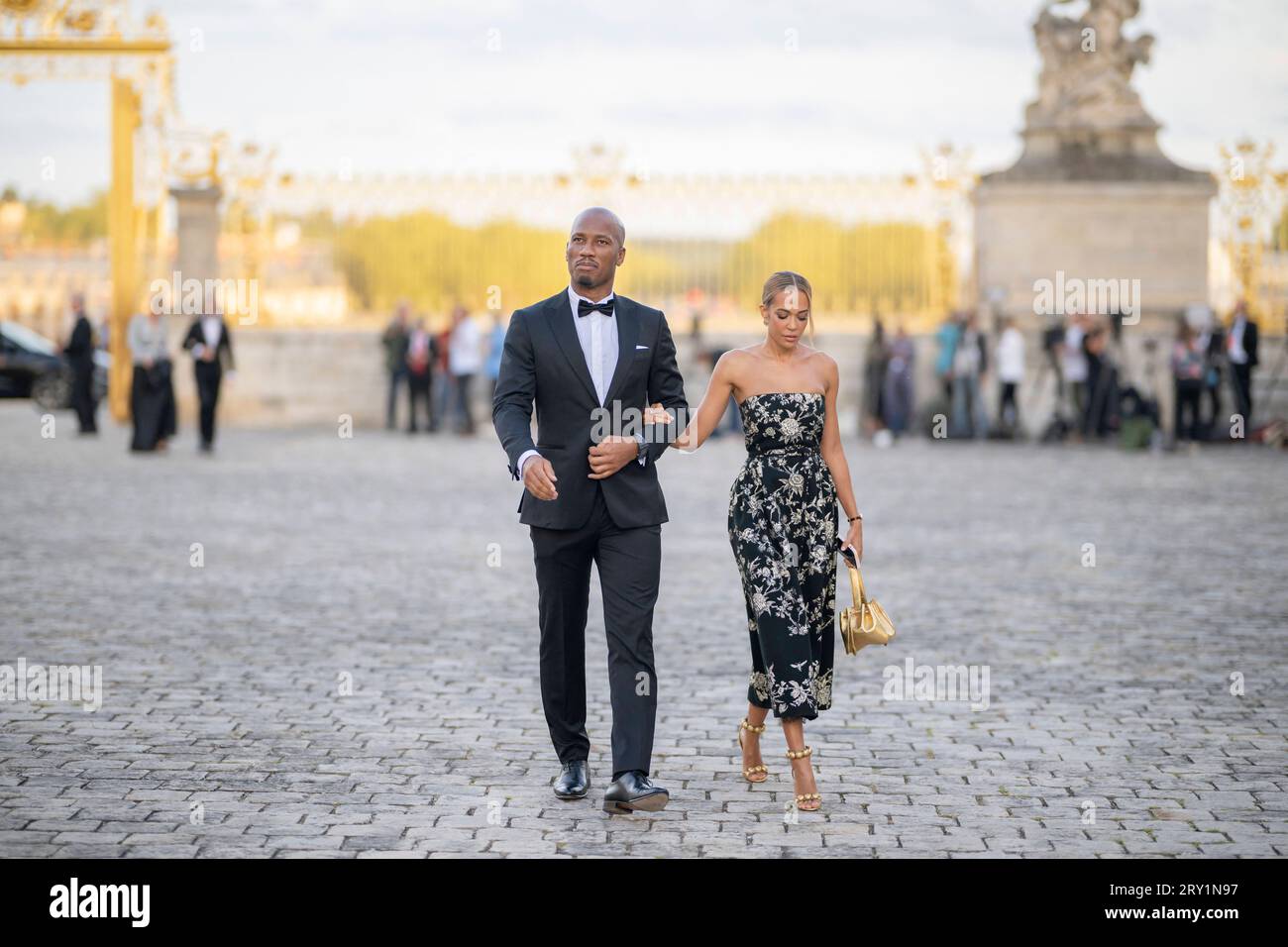 Didier Drogba and Gabrielle Lemaire at the state banquet at the Palace ...