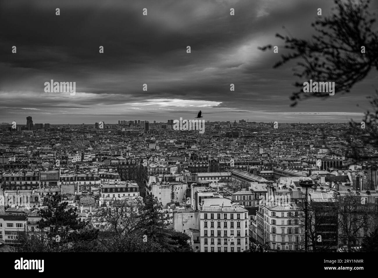 Montmartre's gaze: Paris unfolds in grayscale grandeur Stock Photo - Alamy