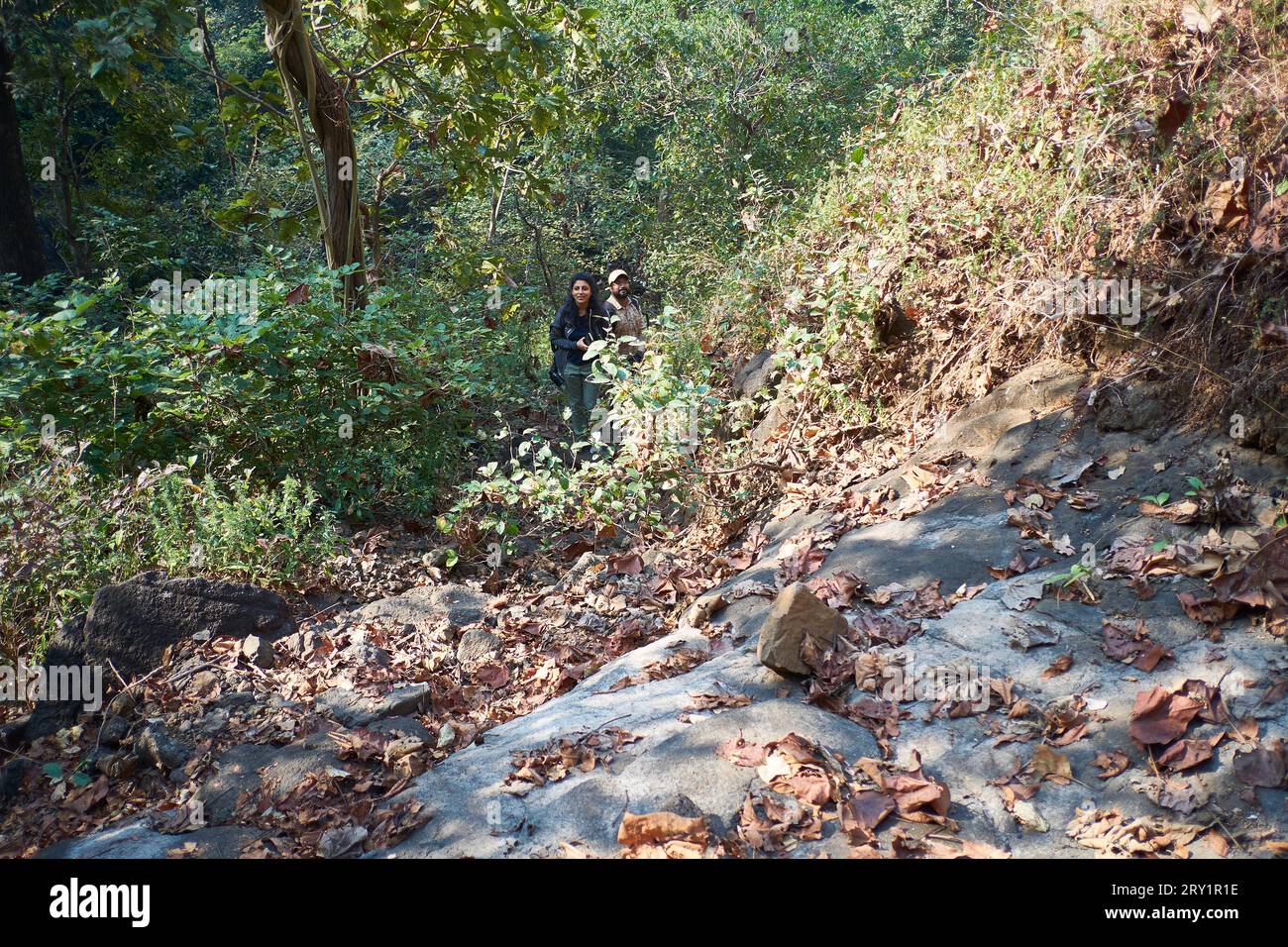 A trek inside the Karnala Bird Sanctuary Stock Photo - Alamy