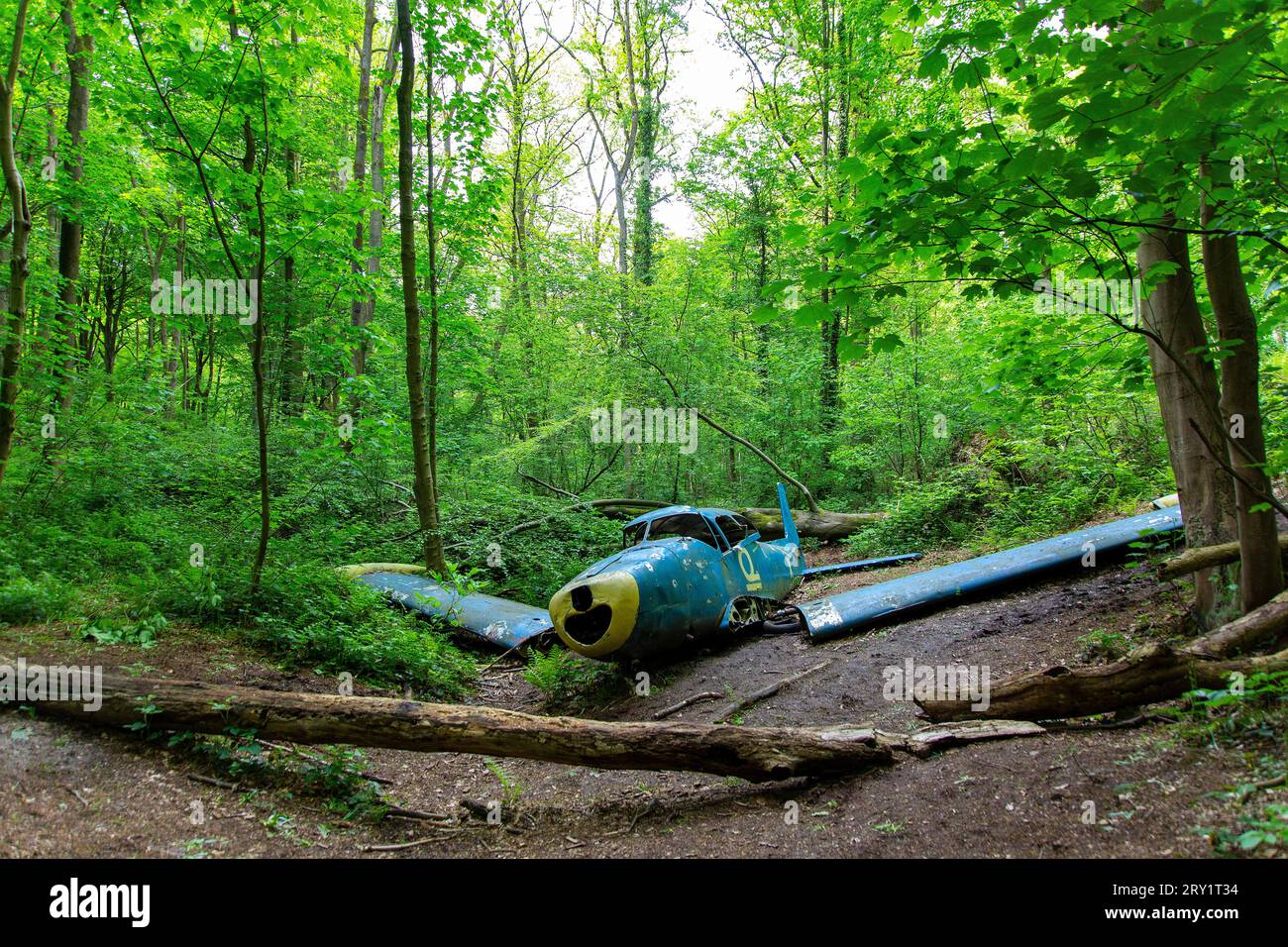Plane wreck in a forest Stock Photo - Alamy