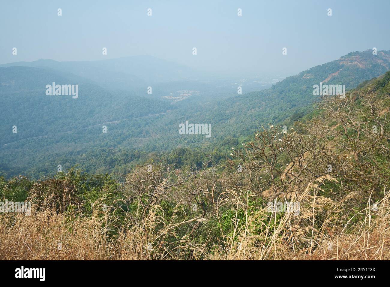 View from the top of the Karnala Fort at the Karnala Bird Sanctuary in ...