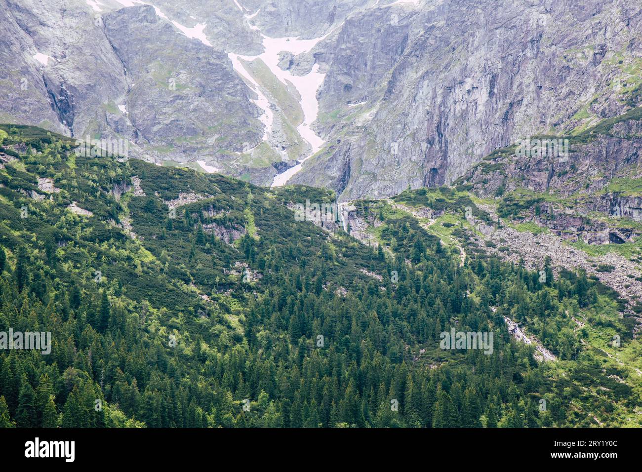 View toward approach to Black Pond Lake in Tatra mountains and Black ...