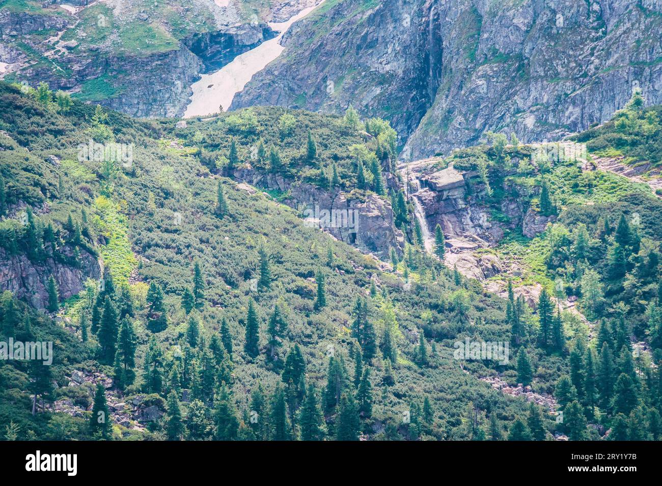 View toward approach to Black Pond Lake in Tatra mountains and Black ...