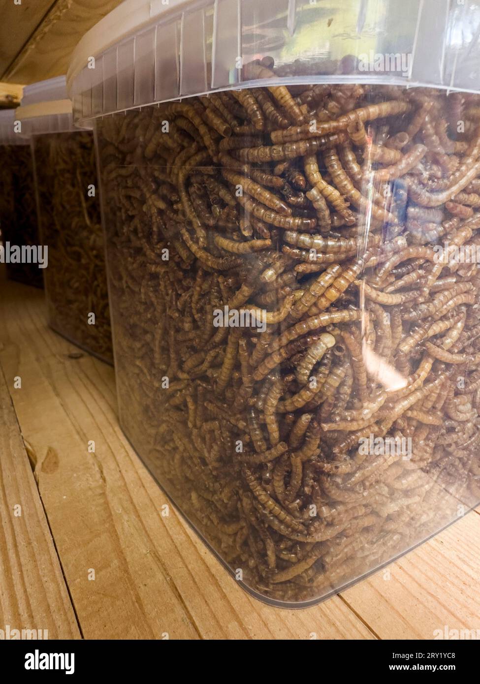 Plastic department hi-res stock photography and images - Alamy