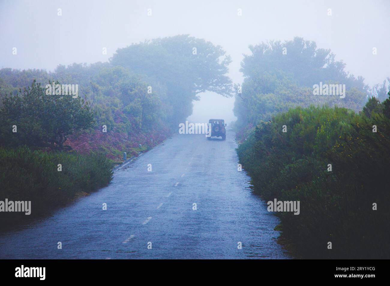Fog roll hi-res stock photography and images - Alamy