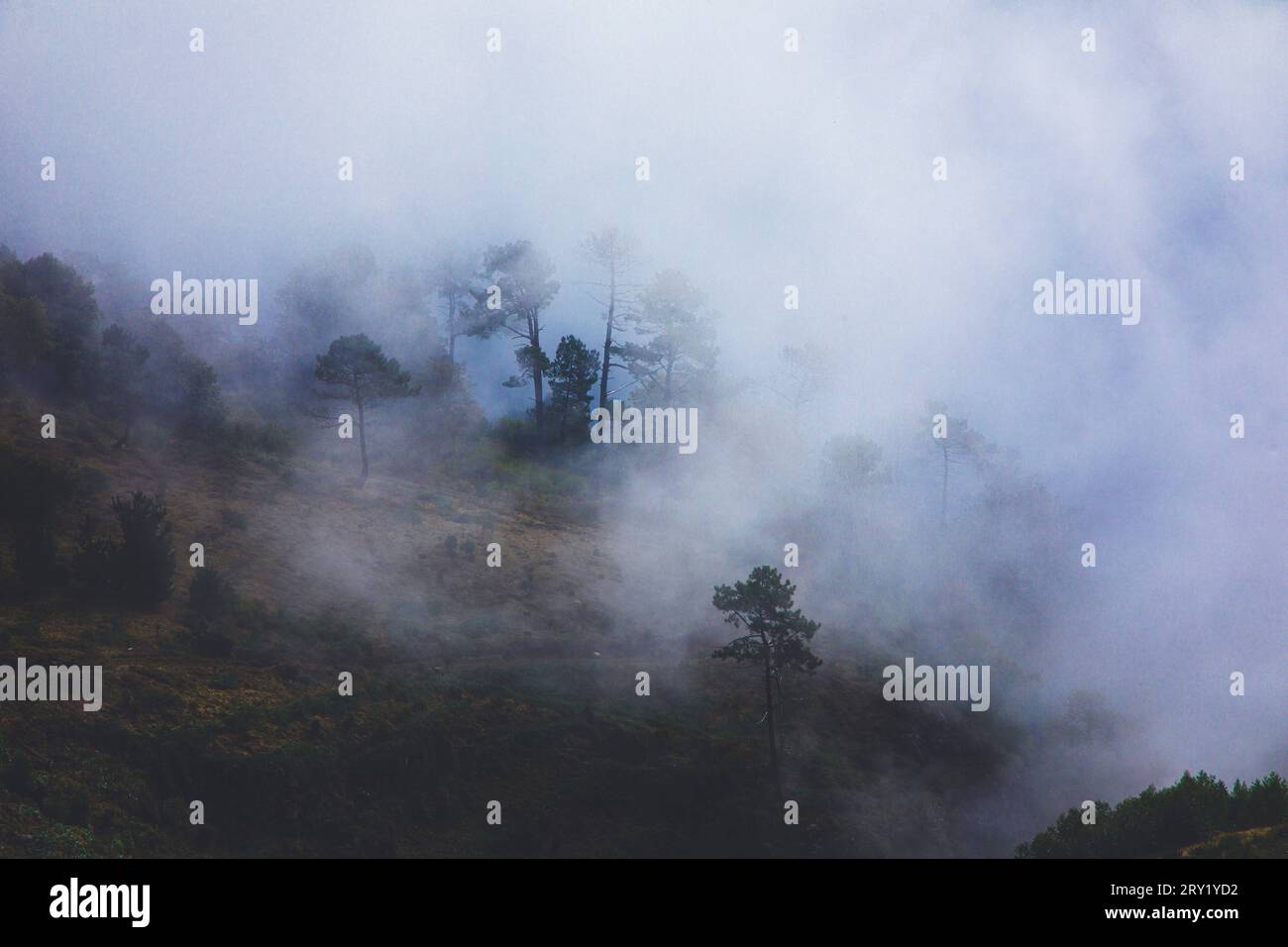 Light fog mountain hi-res stock photography and images - Alamy