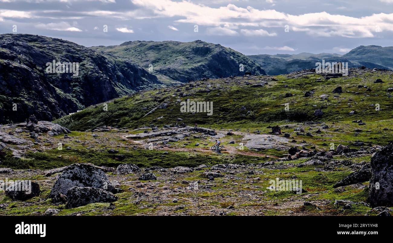 Landscape of green polar tundra with rocks and hills. Northern nature ...