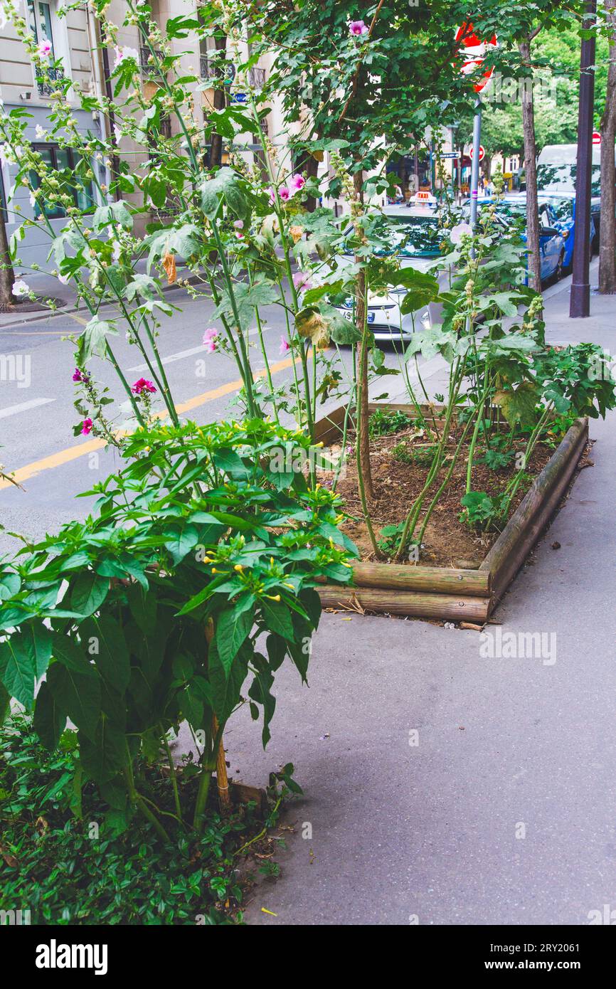 Garden biodiversity scene hi-res stock photography and images - Alamy