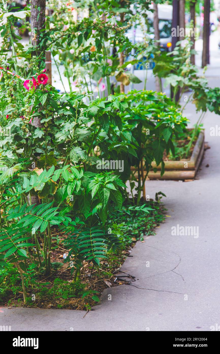 Garden biodiversity scene hi-res stock photography and images - Alamy