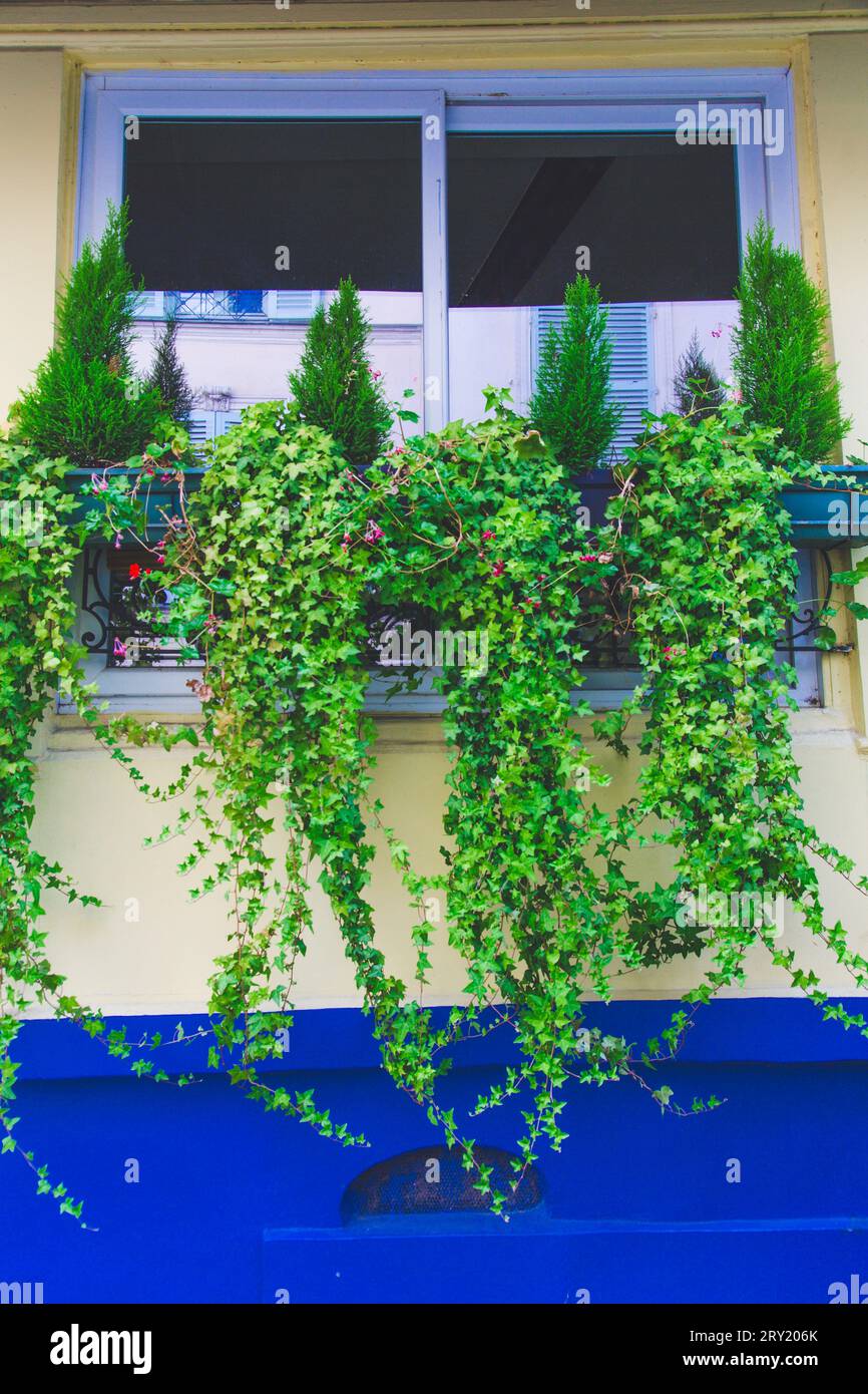 France, Paris, planter in front of a small window Stock Photo - Alamy