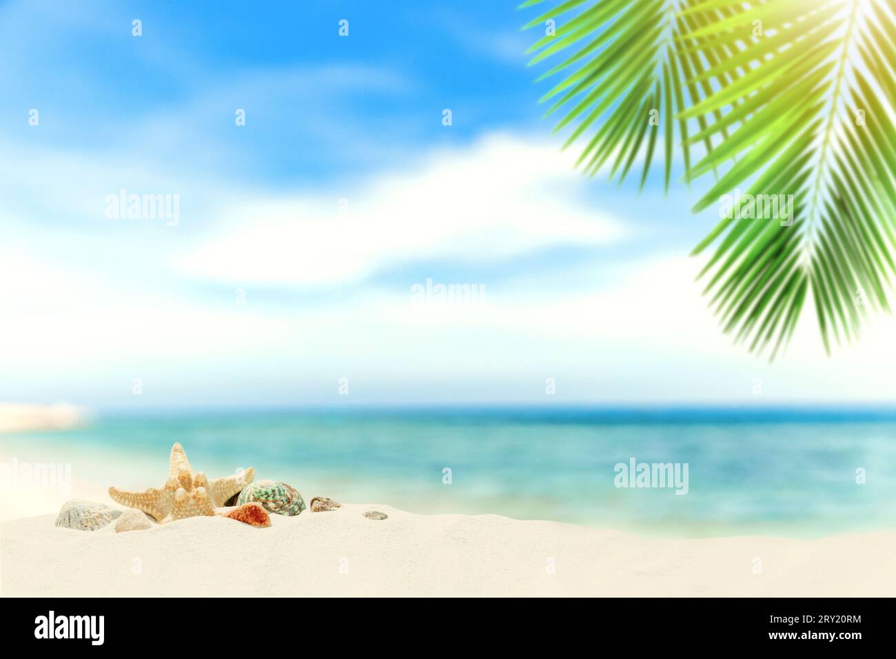 Empty blank sand with different shells with blur beach, palm leaves on ...
