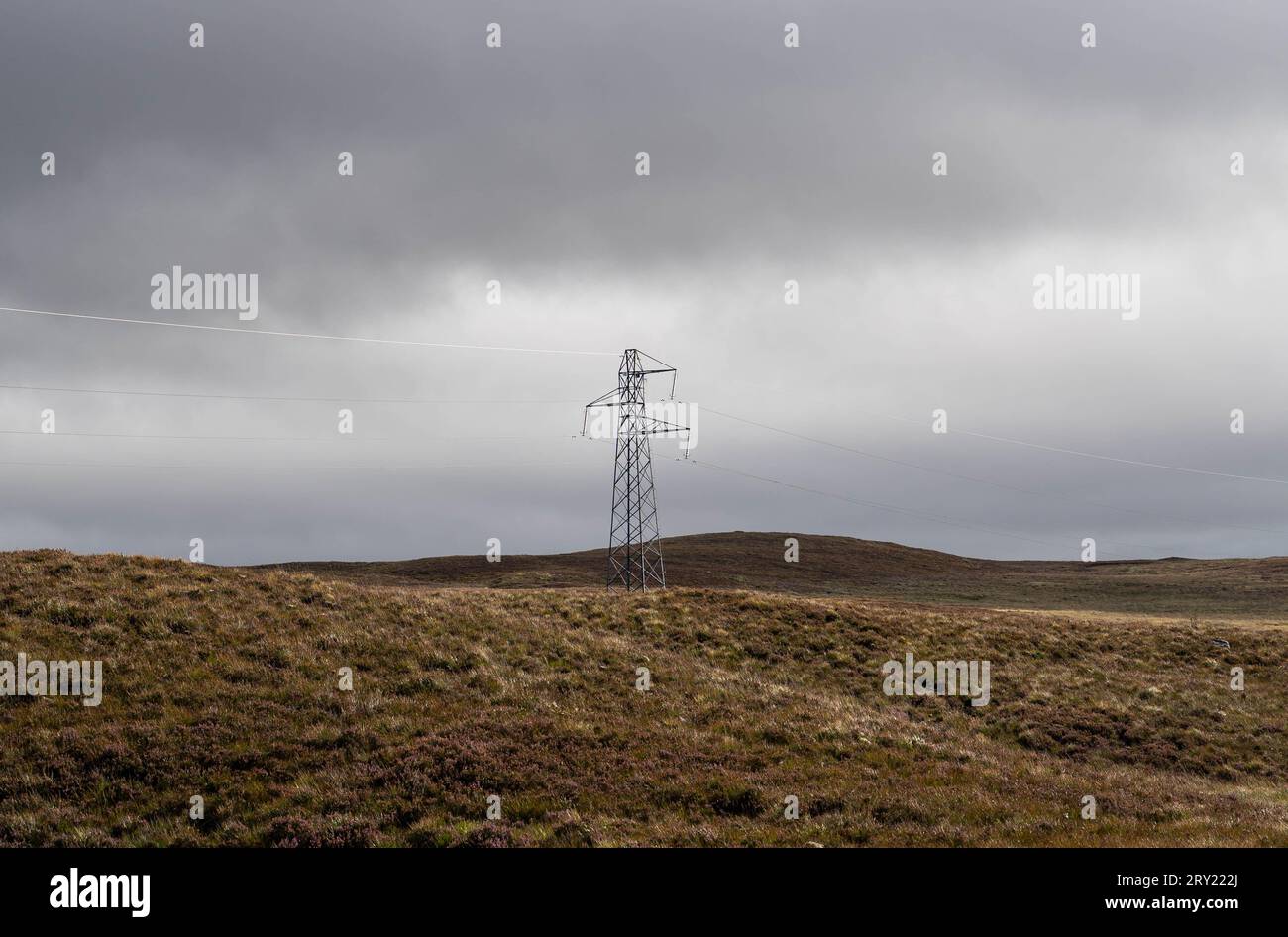 Rural power line in the Scottish Highlands Stock Photo - Alamy