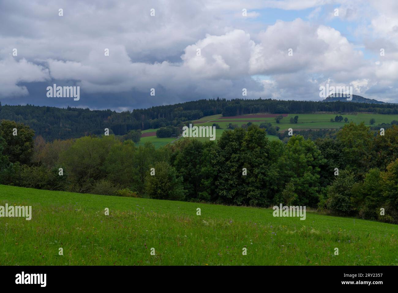 Hilderser hi-res stock photography and images - Alamy