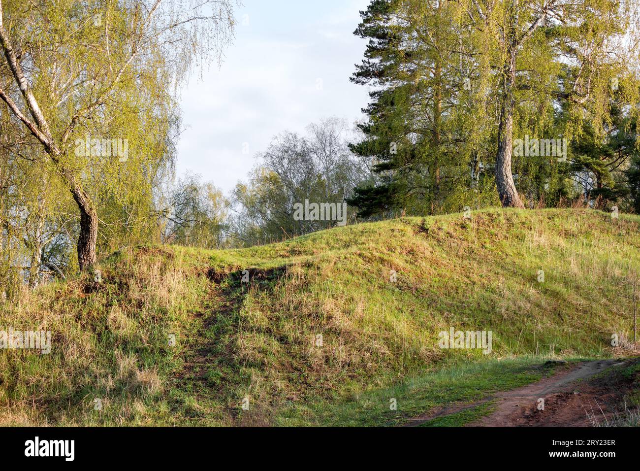 Hill overgrown hi-res stock photography and images - Alamy