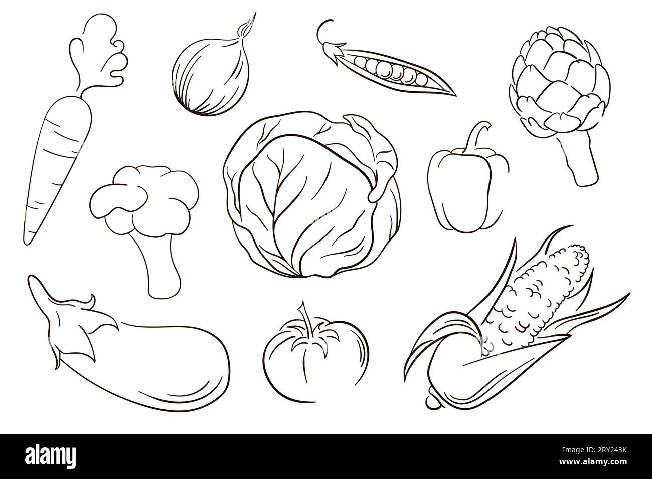 Vector vegetables set in line art style. Collection of vegetables. Line ...
