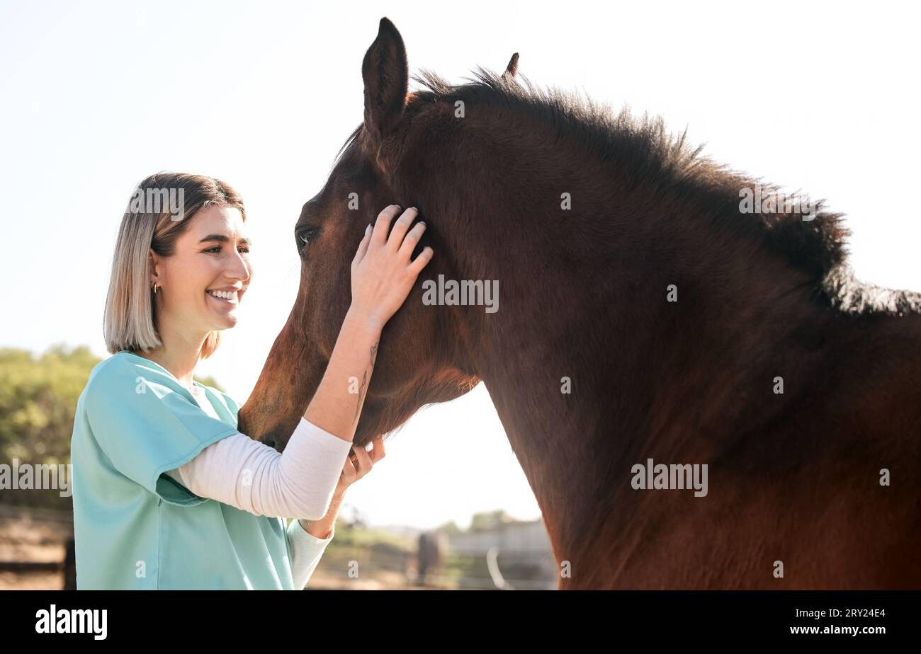 Veterinary, doctor and woman for horse for medical examination ...