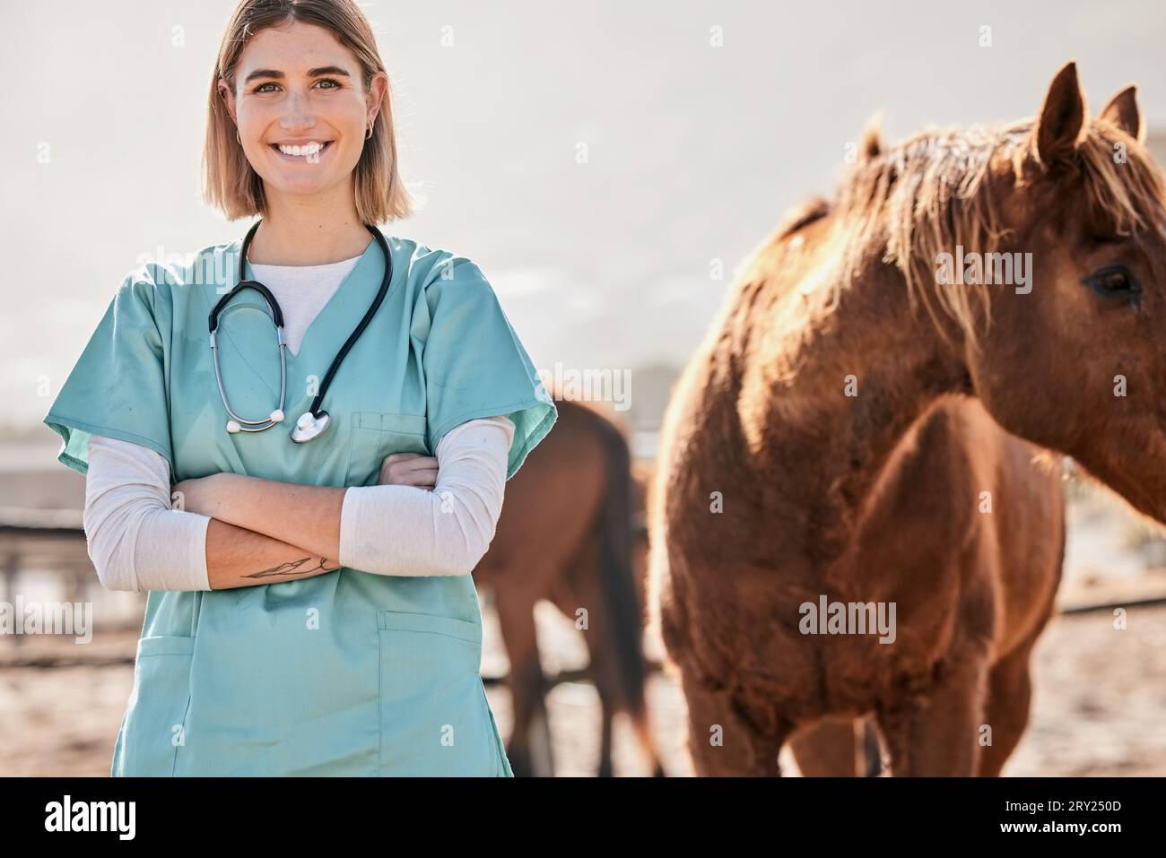 Horse doctor hi-res stock photography and images - Alamy