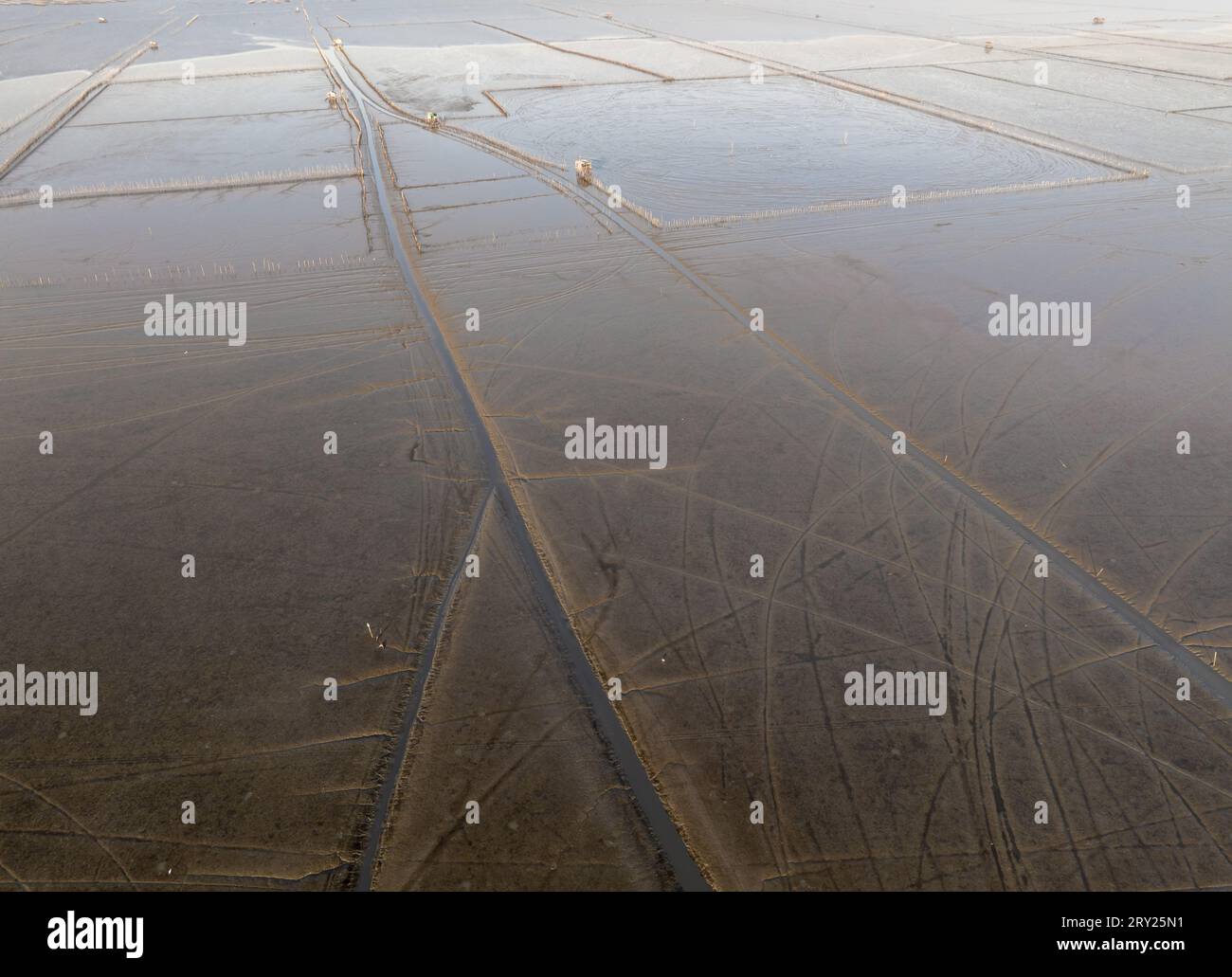 Aerial drone view of coastal mudflat. Natural blue carbon sink and ...