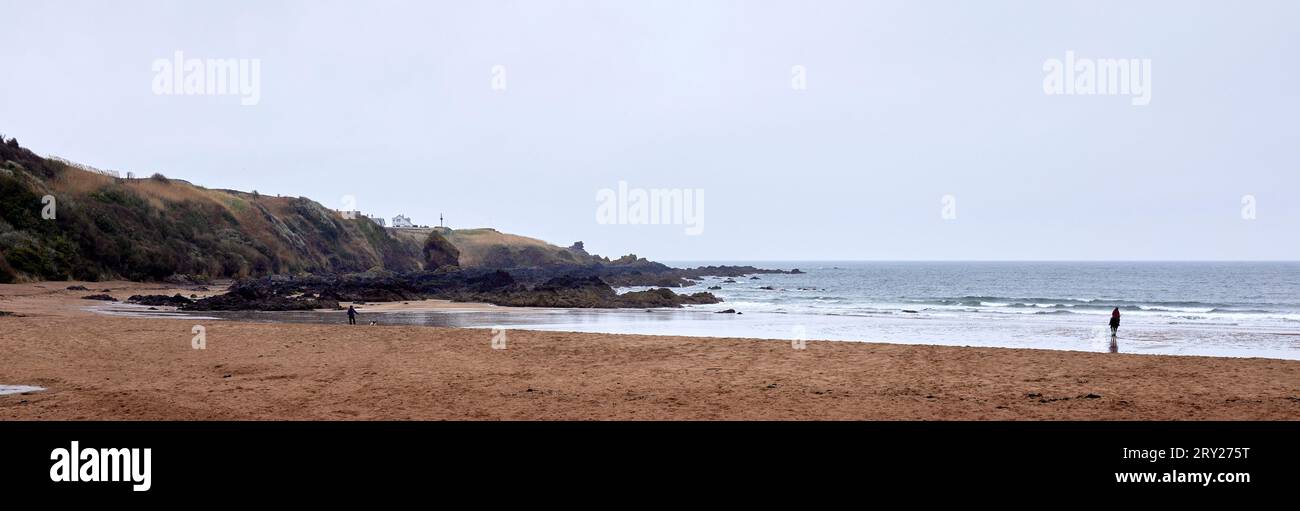 A grey and mizzly March afternoon at Coldingham Sands, and one man ...