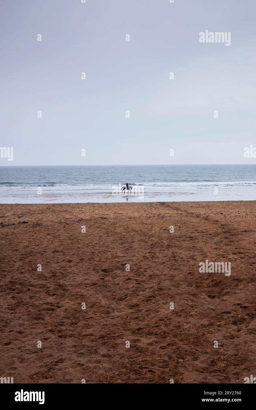 A grey and mizzly March afternoon at Coldingham Sands, and a lone ...