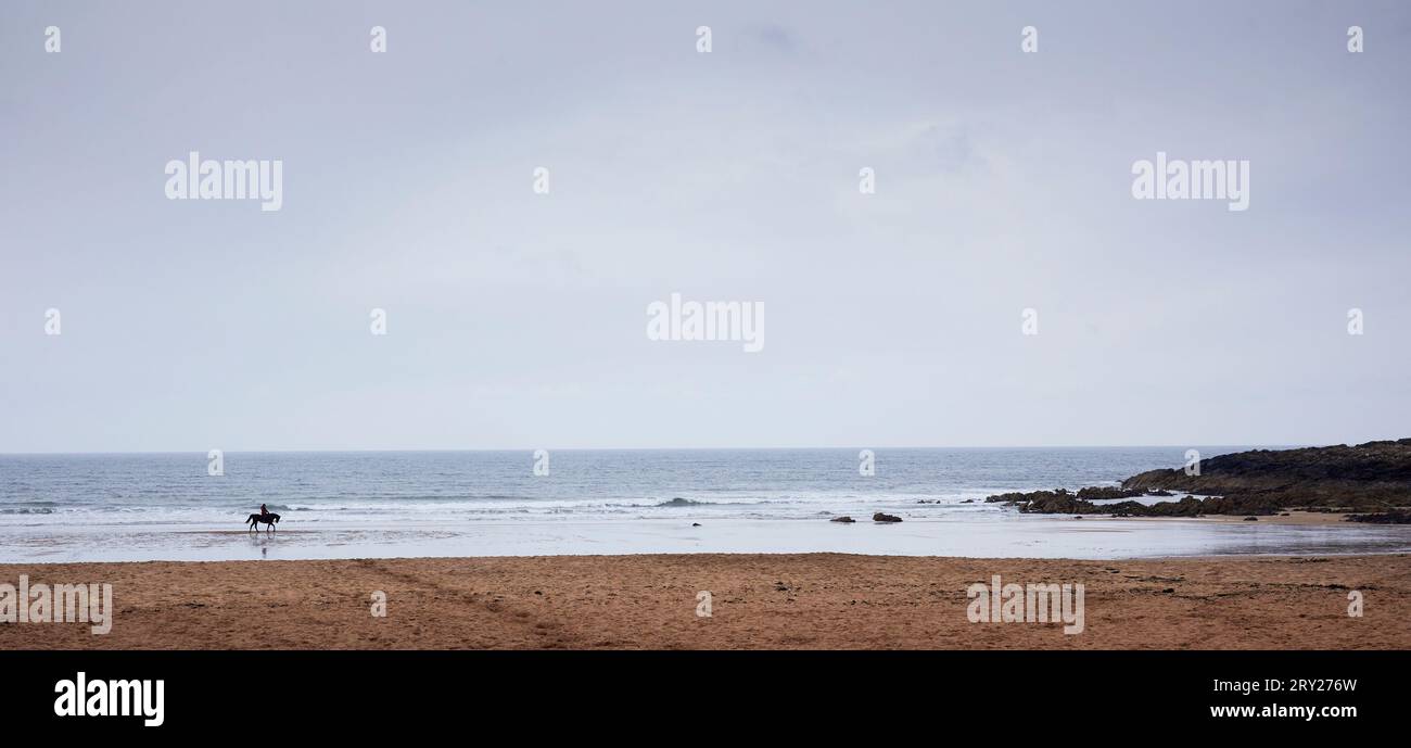 A grey and mizzly March afternoon at Coldingham Sands, and a lone ...