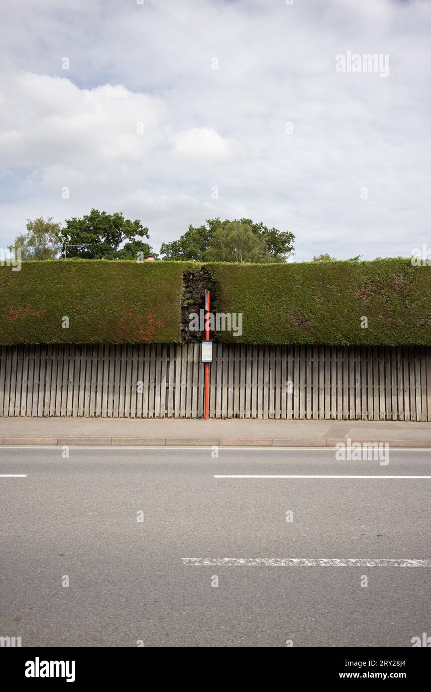 Bus stop tree sign hi-res stock photography and images - Alamy