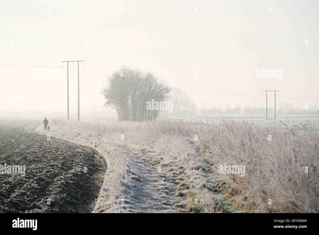 Cold misty morning in snow hi-res stock photography and images - Alamy