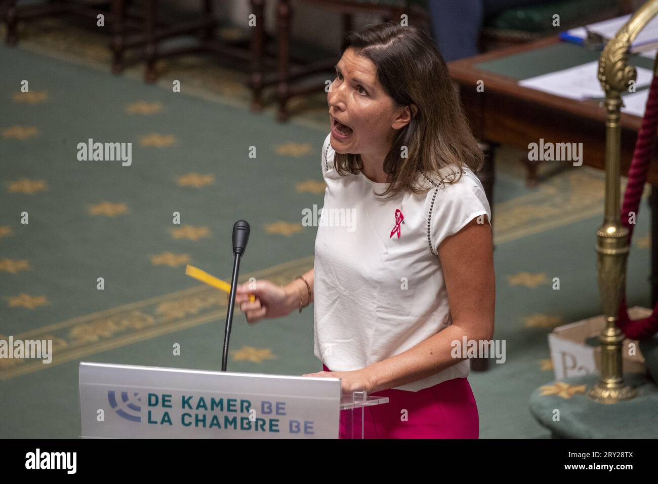 N-VA's Valerie Van Peel pictured during a plenary session of the ...