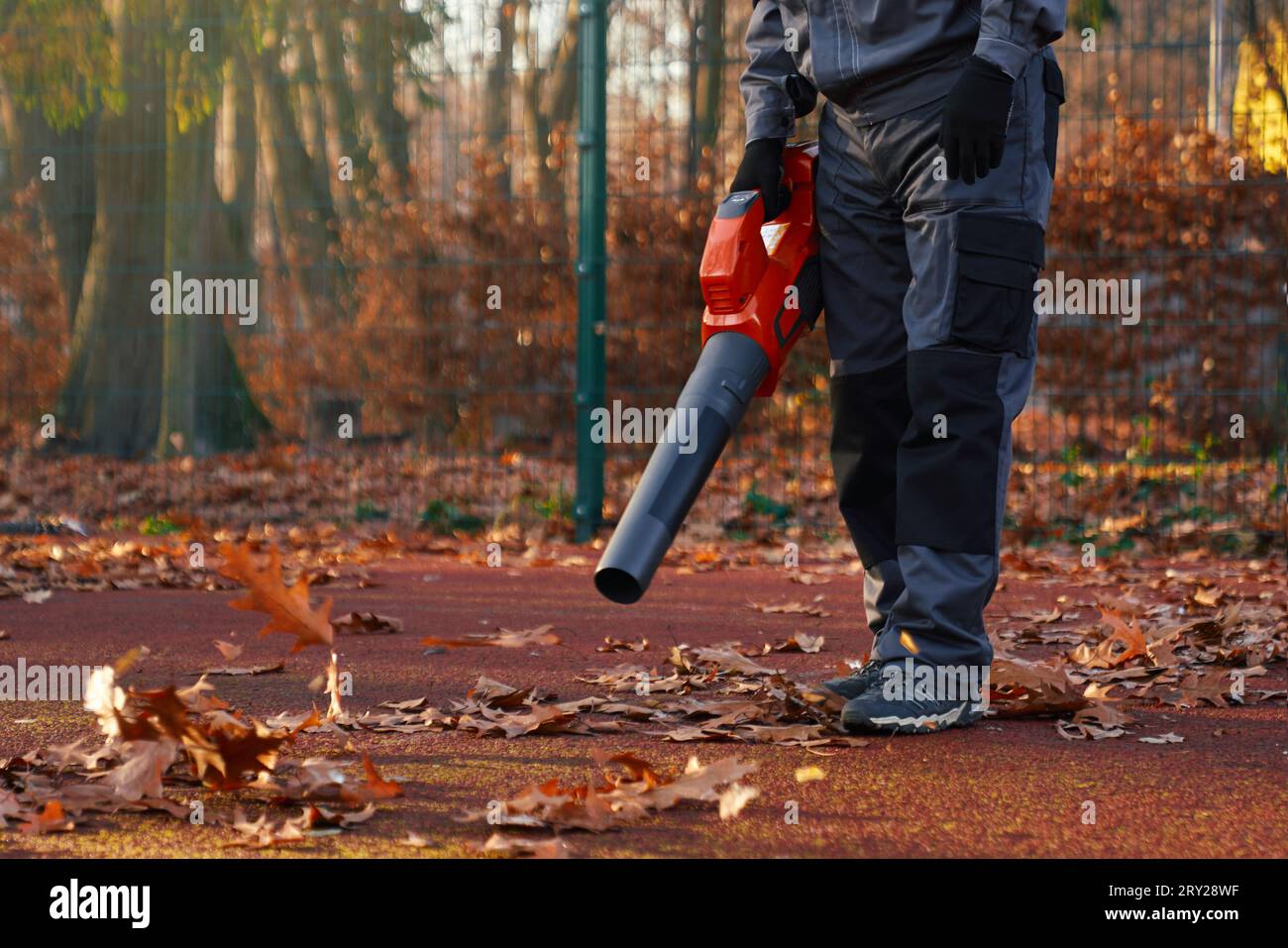 Professional gardener wearing gloves using hi-res stock photography and ...