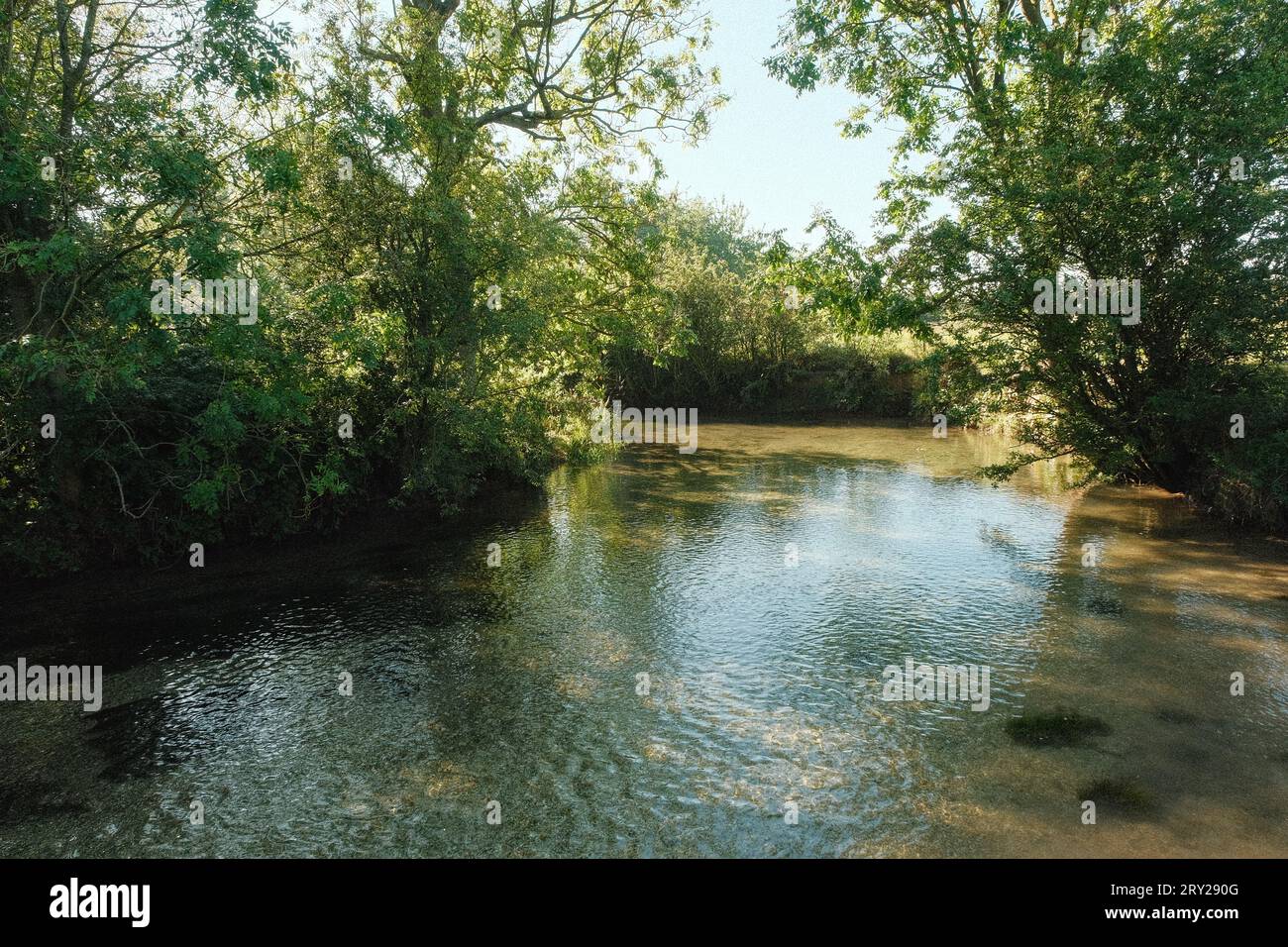 Shallow Chalk Stream For Wild Swimming In Yorkshire Stock Photo - Alamy