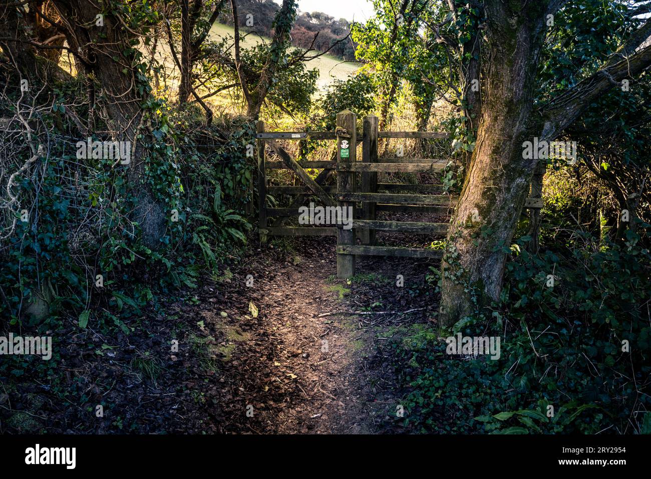 A wooden kissing gate at the entrance to a permissive path on the ...
