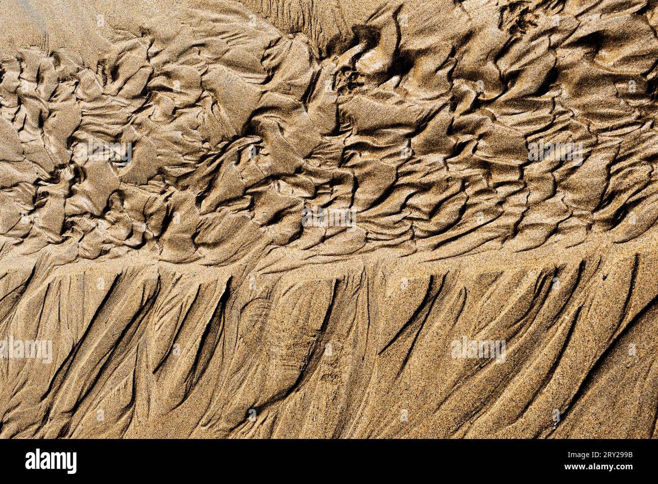 Sand ripples at low tide on Mawgan Porth beach in Cornwall in the UK ...