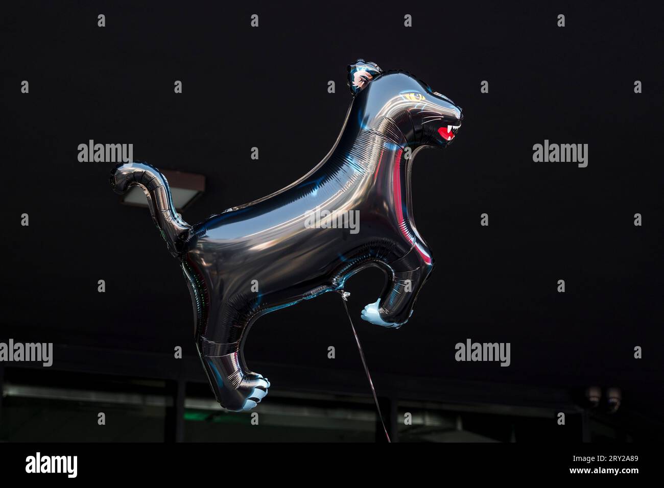 Sports stars hi-res stock photography and images - Alamy