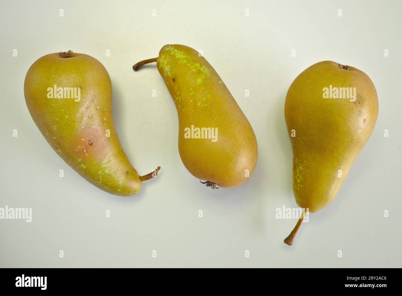 Three fresh Pears Stock Photo - Alamy